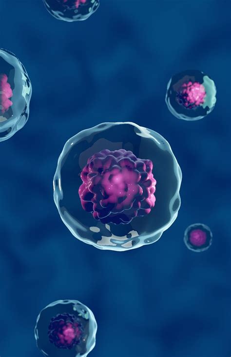3d stem cells biology cell biology stem cells