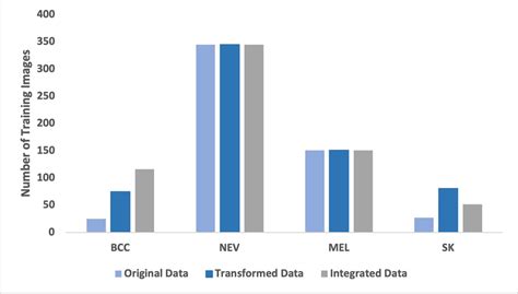 Training Data Class Distribution Download Scientific Diagram