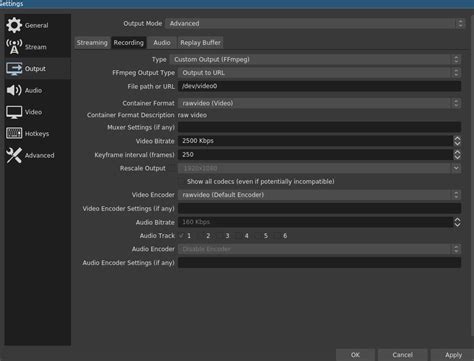 Recording Rawvideo Causes Sigsegv Issue Obsproject Obs Studio