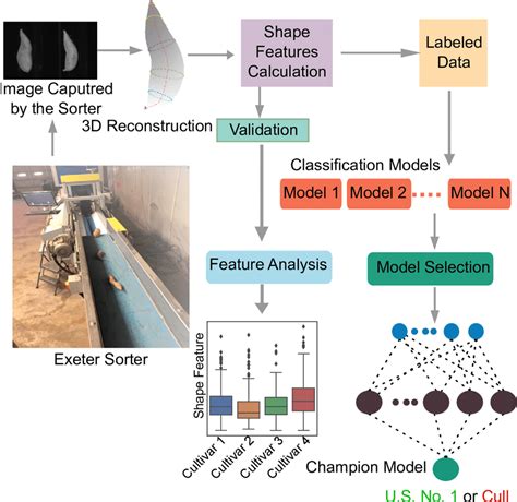 Sp Shape Feature Quantification And Shape Classifications Sp