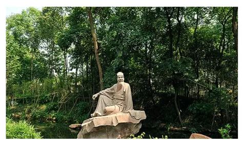 苏洵简介及生平事迹（虚度前半生，唐宋八大家 三苏”的苏洵，是如何逆袭的呢？） 人物集