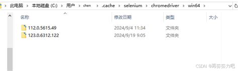 初学selenium：被测程序的chrome驱动版本低，连接报错cannot Connect To Chrome At 127001