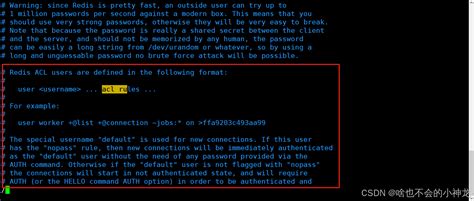 Redis7——进阶篇（二）redis Bigkey Csdn博客