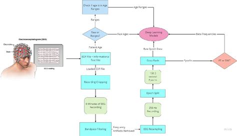 Figure 3 From Brain Age Predictionclassification Through Recurrent Deep Learning With