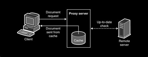 Caching Proxy Dark Proxy