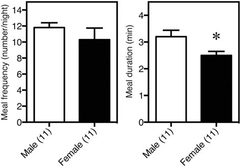 Sex Differences In Feeding Behavior In Rats The Relationship With Neuronal Activation In The