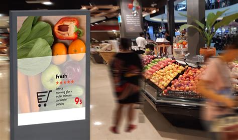 Ares Pots Replacement