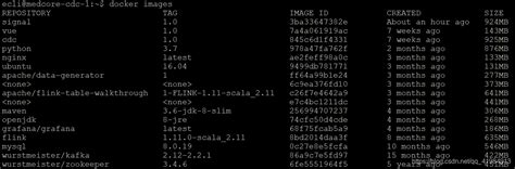 利用dockefile，将py文件打包为docker镜像dockfile 打包成docker镜像 Csdn博客