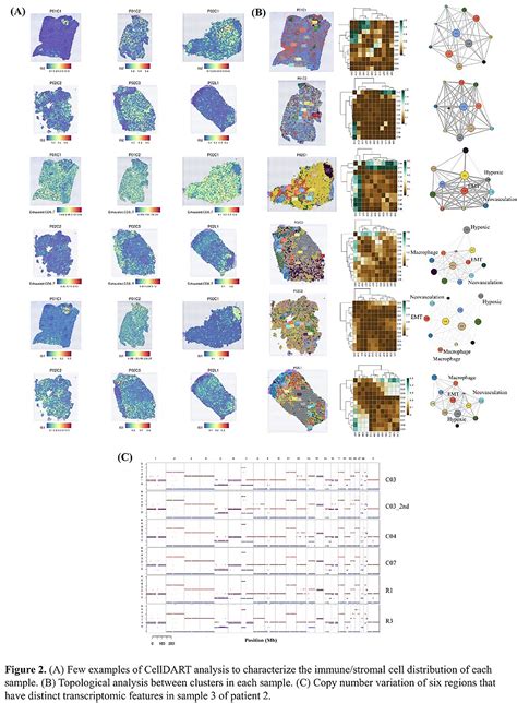 Ep1603 017 Spatial Heterogeneity Of Tumor Microenvironment Of Lung Adenocarcinoma Associated