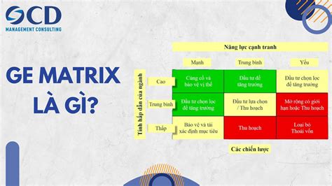 Ge Matrix Là Gì Cấu Tạo Của Ge Matrix Công Ty Tư Vấn Quản Lý Ocd