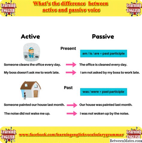 Interaktivní A Pasivní Grafika Software 2025