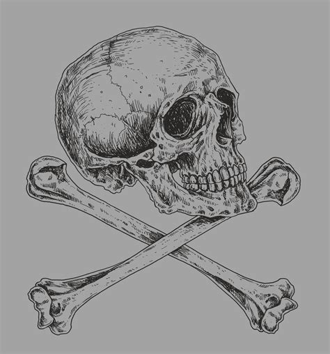 Skull And Crossbones Drawing Illustration 18822860 Vector Art At Vecteezy