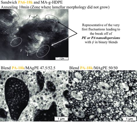 46 Tem Micrographs Of The Interfacial Microstructures Obtained After