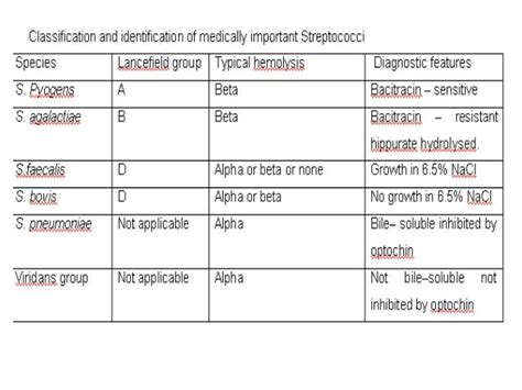 Streptococcus Identification Chart Streptococcus Identification