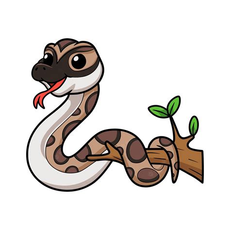Милый мультфильм Python Molurus Bivittatus на ветке дерева Премиум векторы