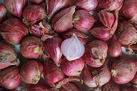 흰색 배경에 껍질을 벗기지 않은 반으로 자른 빨간 샬롯 평평한 위치 개념에 대한 스톡 사진 및 기타 이미지 개념 개념과 주제 구 Istock