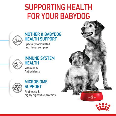 Medium Mother & Babydog Starter | Royal Canin AU
