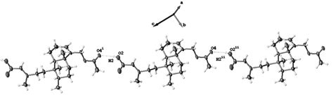 A View Of The One Dimensional Supramolecular Aggregate Showing The