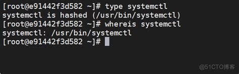 在docker容器中使用systemctl进行系统管理 青菜浪人的技术博客 51cto博客