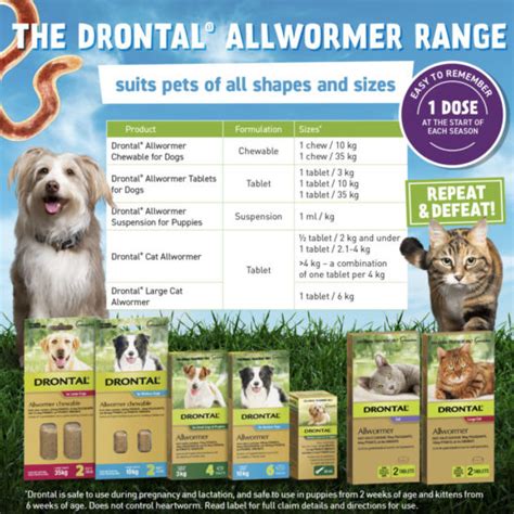 Drontal Allwormer Tablets For Medium Dogs Drontal