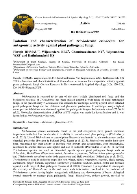 Pdf Isolation And Characterization Of Trichoderma Erinaceum For Antagonistic Activity Against