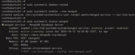 Cómo Instalar Y Proteger Mongodb En Ubuntu 2404 Howtoforge