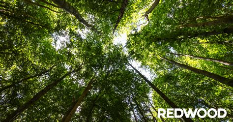 This Is Why Environmental Kpis Are Important