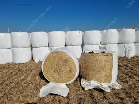 2023년 중형 볏짚 곤포사일리지원형볏짚마시멜로 팝 농기계농업용공구 중고나라