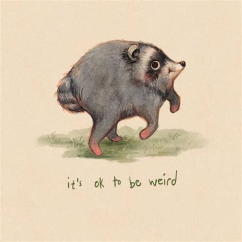 Meet Jimothy The Unusual Raccoon Thats Become An Internet Sensation