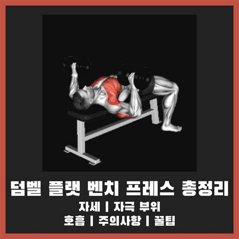 [헬스] 덤벨 플랫 벤치 프레스 총정리 자세 자극 부위 호흡 주의사항 꿀팁 💪 Happy Fortune