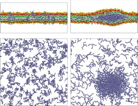 Learning Force Field Parameters From Differentiable Particle Field Molecular Dynamics Journal