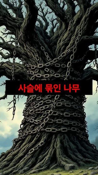 체인에 묶인 저주받은 나무의 비밀 Youtube