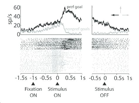 Raster Plot Of An Example Decision And Motor Neuron Trials Are Download Scientific Diagram