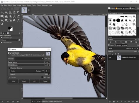 2 Quick Ways To Turn A Photo Into A Cartoon In GIMP