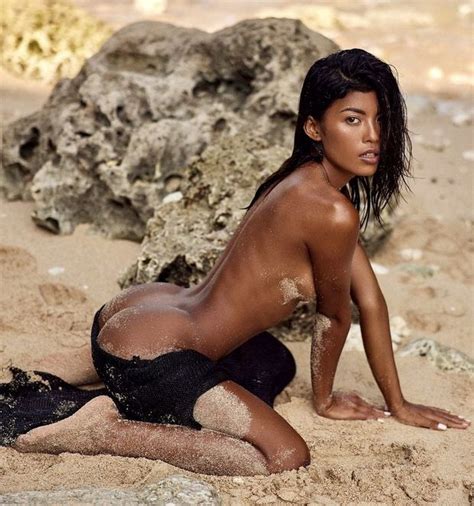 Playful Kitten Tasermusar