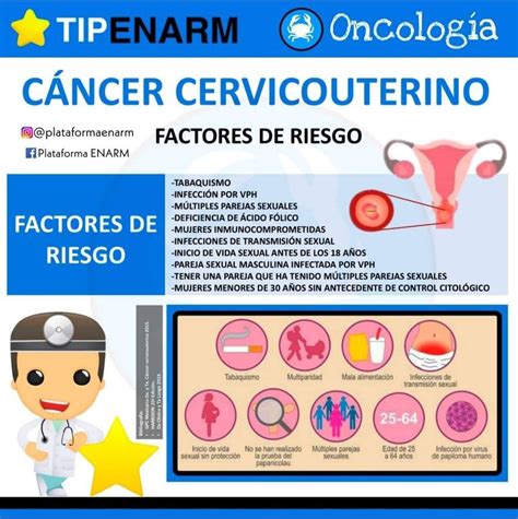 Pin Auf Medicina 🫀🧠🫁