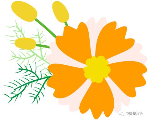 2023年 国际植物健康日”，生态文明驿站主任王延静接受联合国新闻采访保护生物多样性