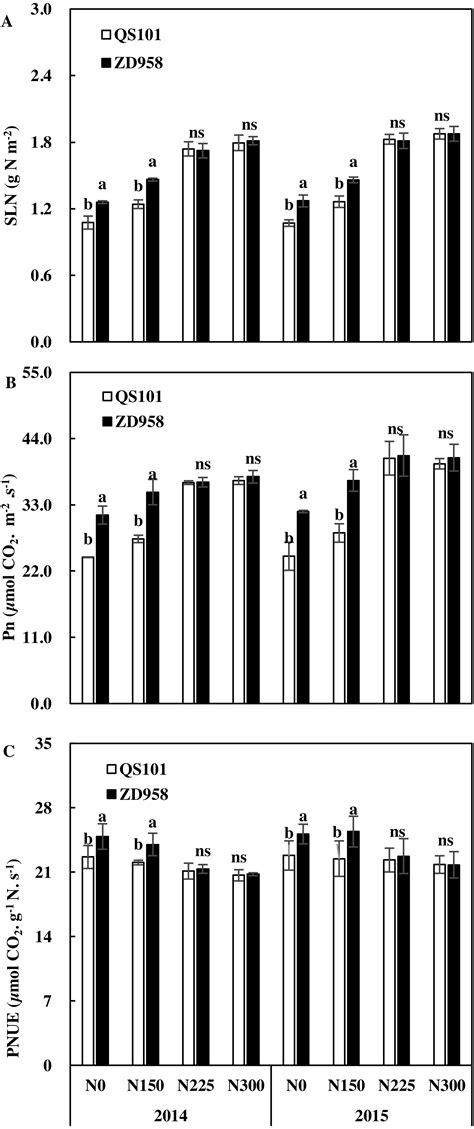 Shoot And Root Traits Of Summer Maize Hybrid Varieties With Higher Grain Yields And Higher