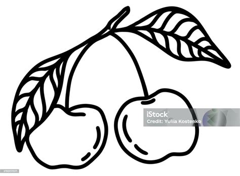 녹색 잎이 있는 나뭇가지에 매달려 있는 두 개의 잘 익은 체리가 간단한 그림으로 표현되어 있습니다 0명에 대한 스톡 벡터 아트 및 기타 이미지 Istock