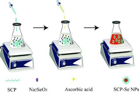 The Schematic Diagram Of SCP Se NPs Preparation Download Scientific Diagram