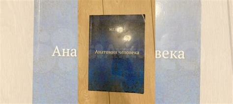 Анатомия человека Привес... купить в Москве | Авито