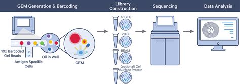 What Is Antigen Capture Official 10x Genomics Support