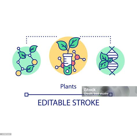 식물 개념 아이콘입니다 표지판의 인공 선택 새로운 품종을 사육 유전 공학 생명 공학 아이디어 얇은 라인 그림 벡터 절연 윤곽선 도면 편집 가능한 스트로크 식물육종에 대한