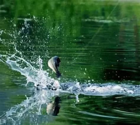 面试 Java 高级后端开发要准备哪些知识点 Java技术栈