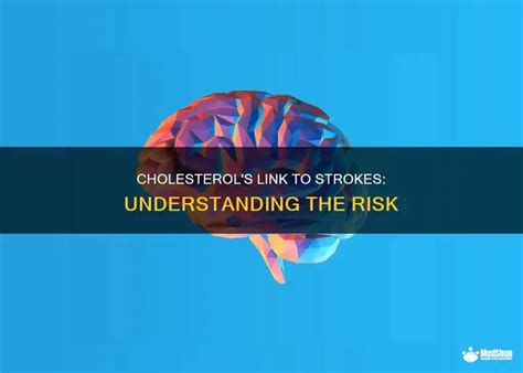 Cholesterols Link To Strokes Understanding The Risk Medshun