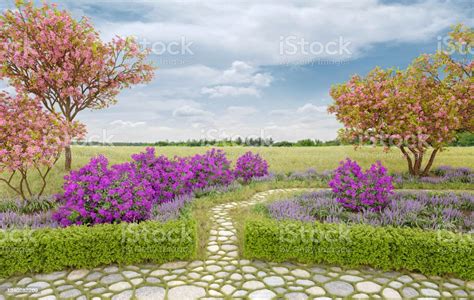 Desain Taman Dengan Pohon Berbunga Dan Semaksemak Dan Rendering 3d Jalur Batu Foto Stok Unduh