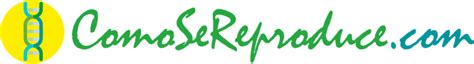 ¿como Se Reproduce El Ajolote Ciclo Vida Como Se Reproduce