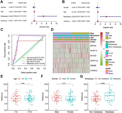 Identification Of Mitochondrial Related Signature And Molecular Subtype