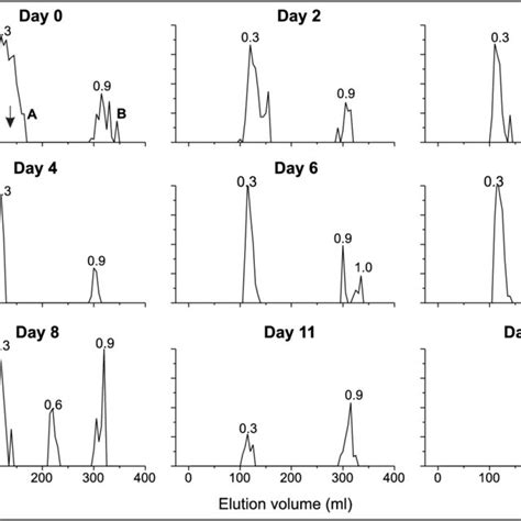 Elution Diagrams Of Gel Permeation Chromatography In Sepharose Cl 6b Download Scientific