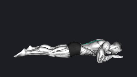 스핑크스 자세 자세 팁 자극부위 등